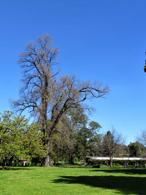 Visit Melbourne in Australia with Cunard