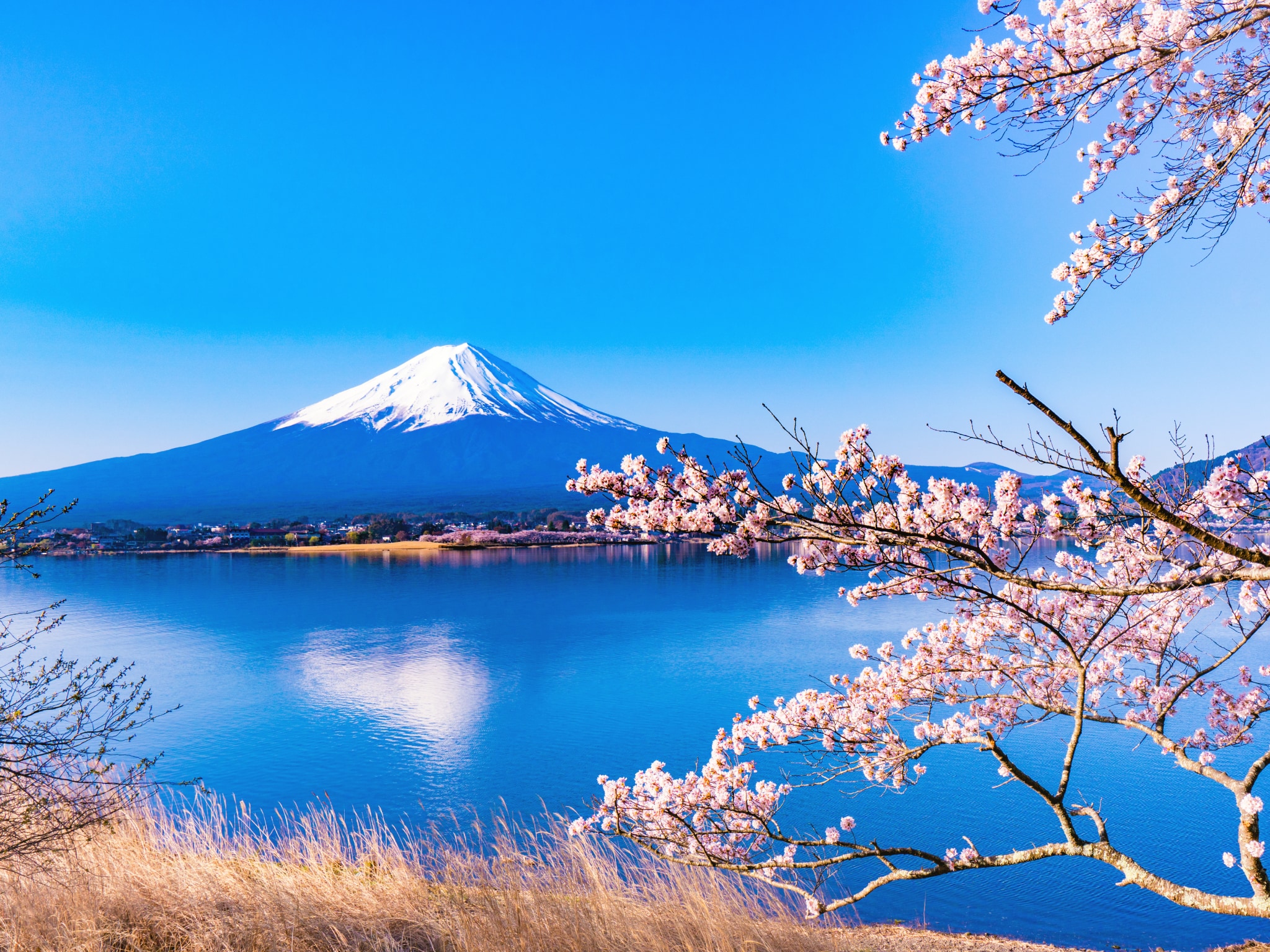 51 nights - Southampton to Yokohama - January 2028