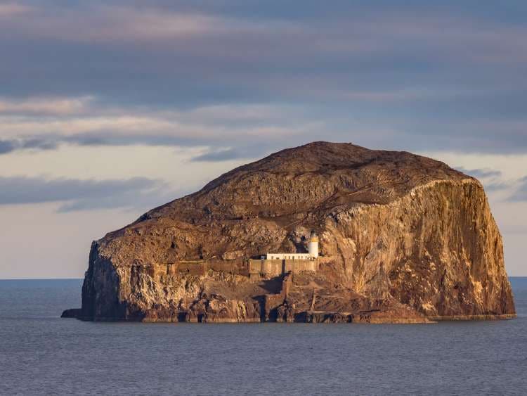 Visit Bass Rock with Cunard